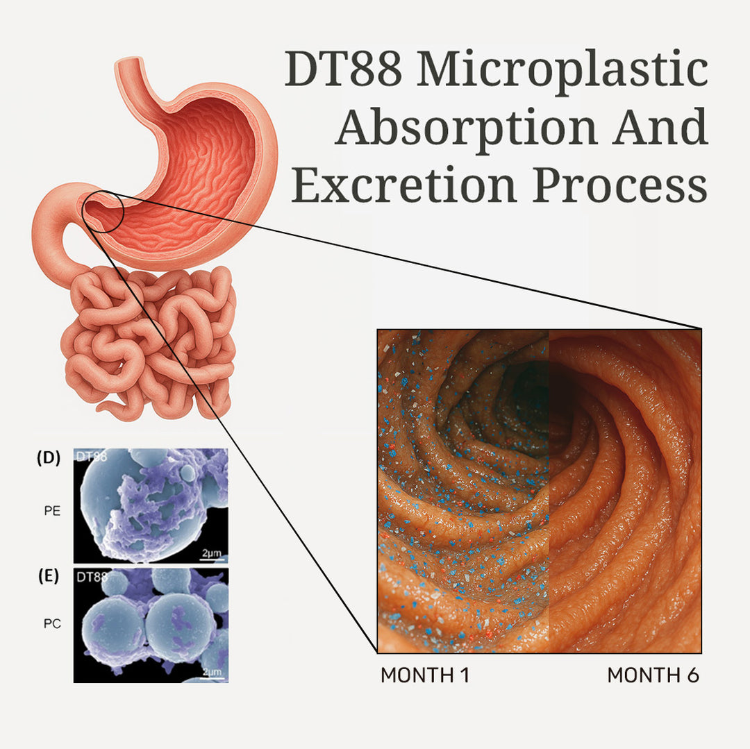 MBC6 - DT88 Microplastic Detox